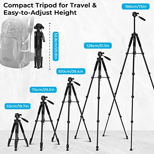 ZIKZOK 75 Inch Camera Tripod, Lightweight Travel Aluminum Cell Phone Video Tripod for DSLR/SLR/DV/GoPro/iPhone with Bag (Weight 2.8Lbs/Load 11Lbs)