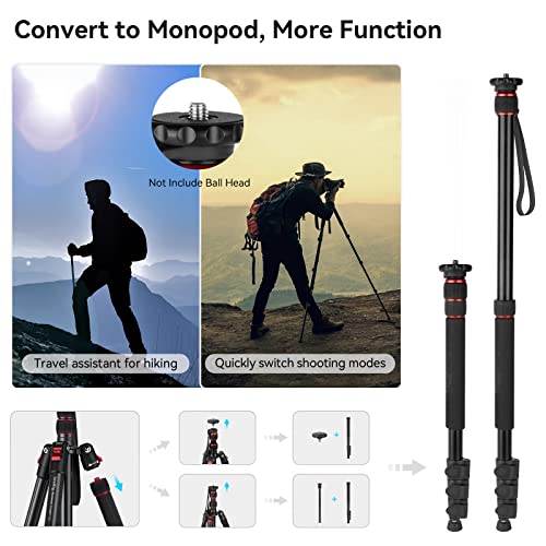 SmallRig 68" Camera Tripod, Foldable Aluminum Tripod & Monopod, Compatible with 1/4"-20 and 3/8"-16 Video Head, Payload 33lb, Adjustable Height from 19.7" to 67.7" for Camera, Phone - 3983
