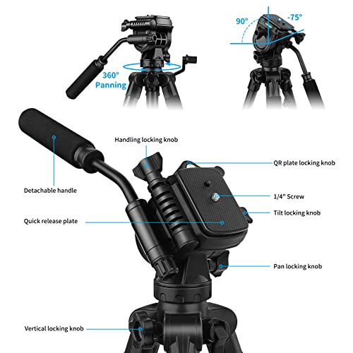 Tripod, 73 inch Tripod for Camera 15 lbs Loads with Fluid Head, 2 Quick Release Mounts and Tablet & Phone Mount