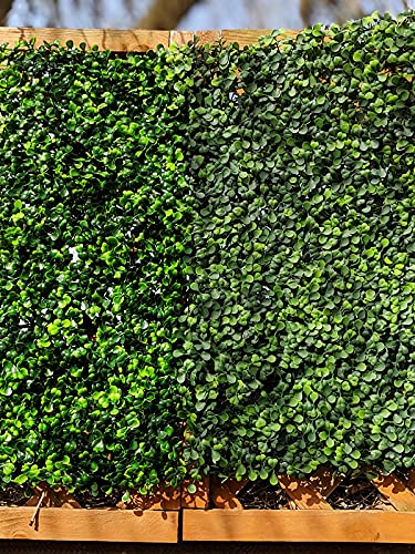 uyoyous 12PCS Grass Wall Panels 24x16 Inch Artificial Boxwood Hedges Mat Grass Backdrop Fence Screen Privacy Greenery Panel Indoor Outdoor Decor for Garden Backyard Patio Party, 31 Sq.ft