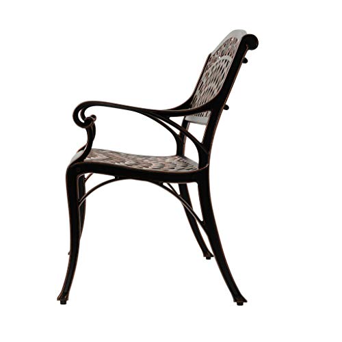 Patio Sense 63285 Scarlet Cast Aluminum Patio Bench Heavy Duty Rust Free Metal Construction Lightweight Easy Assembly for Front Porch Backyard Lawn Garden Pool Deck - Antique Bronze Finish