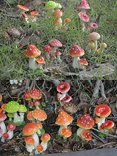 3 Pcs Mushroom Miniature Figurines Mushroom Statue Resin Figurines Fairy Garden Miniature Moss Landscape DIY Terrarium Crafts Ornament Accessories for Home Décor,C