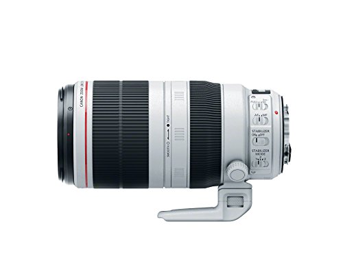 Canon EF 100-400mm f/4.5-5.6L is II USM Lens, Lens Only