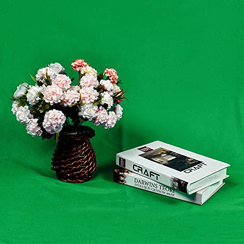 WENMER Backdrops, Green Screen Photo Backdrops for Photoshoot, Chromakey Green Photography Backdrops, Background for Photography, 5 x 7 FT