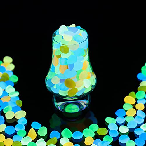 Danghey 900 Pieces Glow in The Dark Rocks Glowing Stones 1/2 Inch Decor Pebble Stones for Garden, Walkway, Potted Plant, Flower Bed, Fish Tank Aquarium (Assorted Colors)
