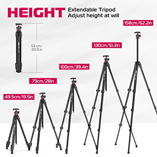 ULANZI MT-55 Ombra Travel Tripod, 62.2" Professional Camera Video Tripod, Aluminum Tripod W/ 360° Ball Head&Quick Release Plate, Max Load 17.6 LB for Nikon Canon DSLR Camcorder, Phone Holder Included