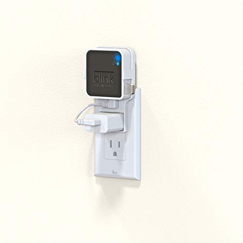 256GB Blink USB Flash Drive for Local Video Storage with The Blink Sync Module 2 Mount (Blink Add-On Sync Module 2 is NOT Included)…