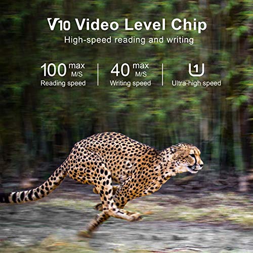LaView 64GB Micro SD Card, Micro SDXC UHS-I Memory Card β 100MB/s,667X,U1,C10, FHD Video V10, A1, FAT32, High Speed Flash TF Card P500 for Computer with Adapter/Camera/Phone/Drone/Dash Cam/Tablet/PC