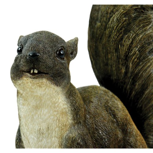 Frisky Squirrel by Michael Carr Designs - Outdoor Squirrel Figurine for gardens, patios and lawns (80065)