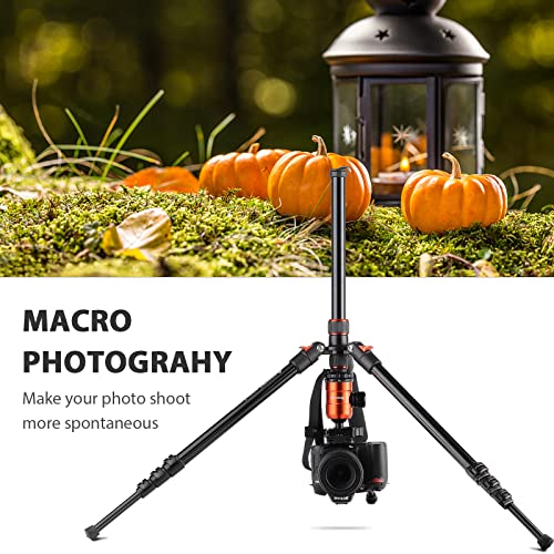 [Upgrade Version] GEEKOTO 77'' Tripod, Aluminum Camera Tripod Monopod, Foldable DSLR Tripod for Travel, Compact Tripod with 360 Panorama Ball Head Quick Release Plate for Travel and Work