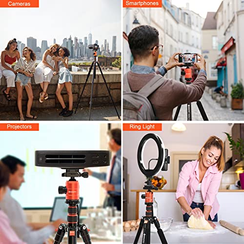 [Upgrade Version] GEEKOTO 77'' Tripod, Aluminum Camera Tripod Monopod, Foldable DSLR Tripod for Travel, Compact Tripod with 360 Panorama Ball Head Quick Release Plate for Travel and Work