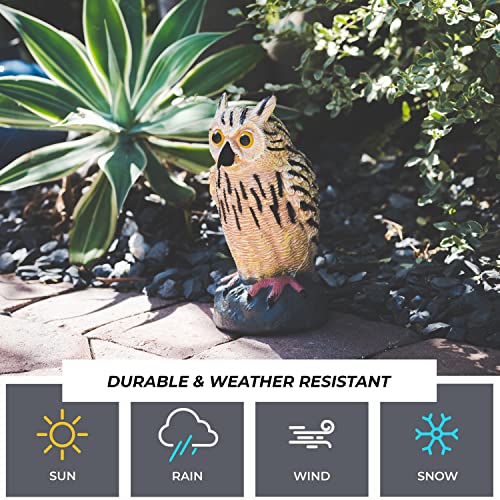 Galashield Owl Decoys to Scare Birds Away | Plastic Owls to Scare Birds Away | Owl Statue for Garden & Outdoors [Set of 2]