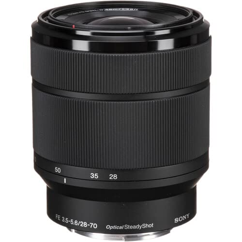 Sony a7 III Mirrorless Camera with 28-70mm & 55-210mm Lens Bundled Kit + Accessory Package with 420-800mm Zoom Telephoto, LED Light, Filters, 64GB Extreme SD, Case, & Editing Software Package