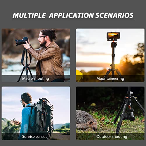 GEEKOTO 64" Camera Tripod, Compact Aluminum Tripod with 360 Degree Panorama Ball Head 1/4 inch Quick Release Plate, DSLR Tripod Suitable for SLR Cameras