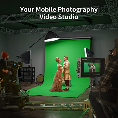RaLeno Photography Lighting Kit, 2.6m x 3m Background Support System with 3 x 85W 5500K LED Bulbs Softbox and 2-in-1 Reflector, Continuous Softbox Light for Photo Video Shooting