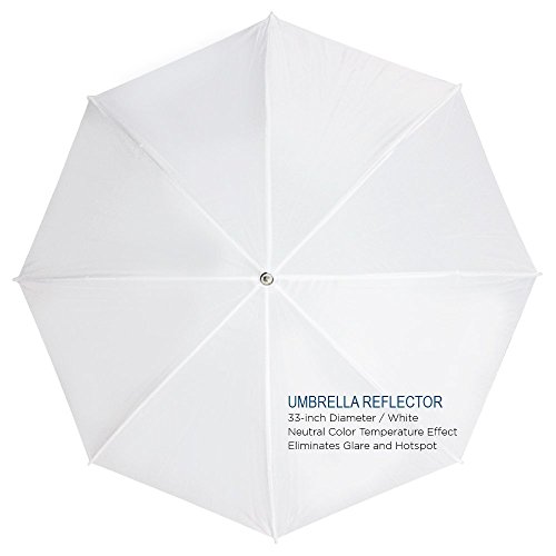 LimoStudio 10 x 9.6 ft. Heavy Duty Backdrop Stand / 10 x 20 ft. Green Background Screen / 700W Continuous Output Umbrella Lighting Kit, AGG408