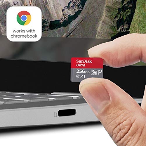 SanDisk 256GB Ultra microSD UHS-I Card for Chromebooks - Certified Works with Chromebooks - SDSQUA4-256G-GN6FA
