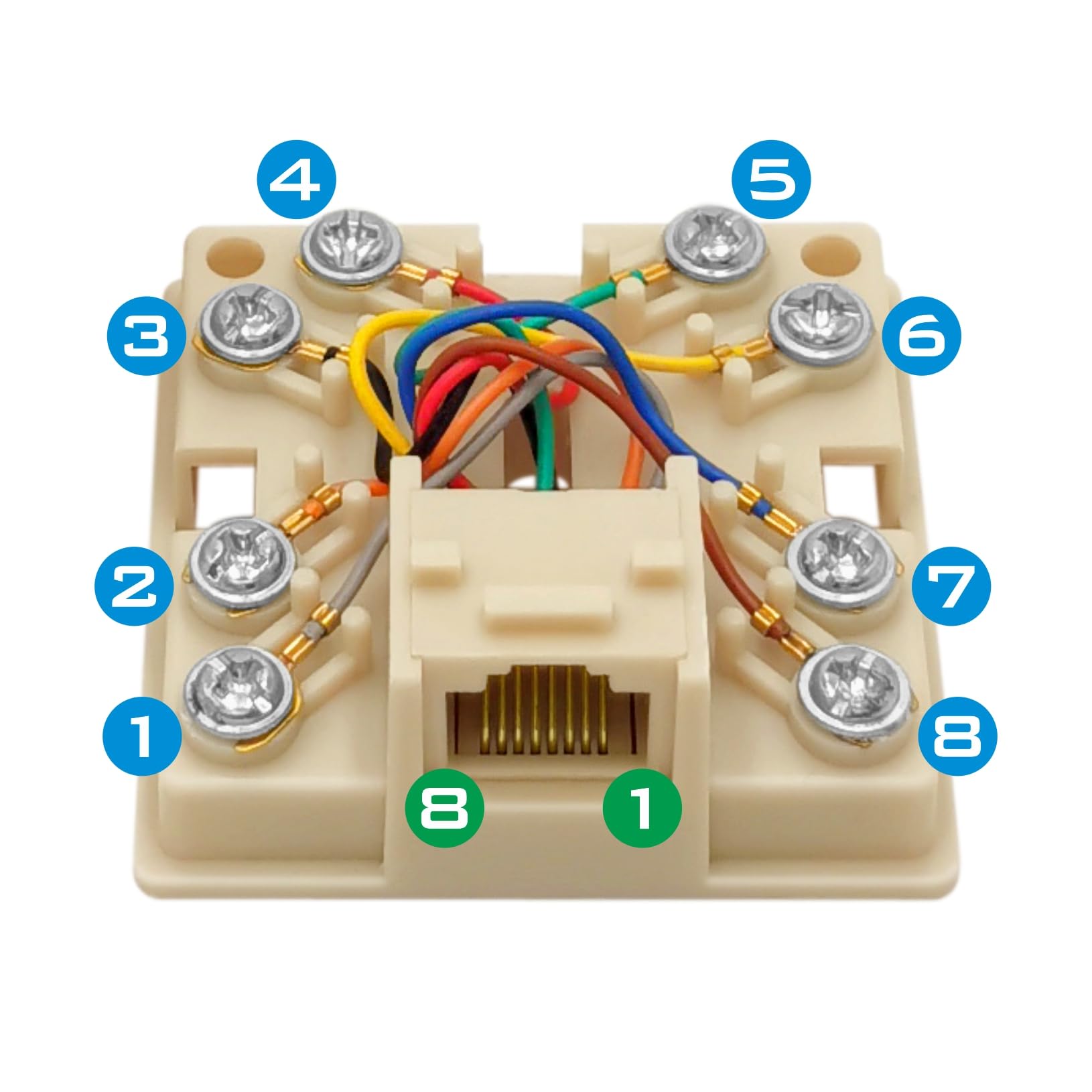 NECABLES RJ31X Phone Jack Telephone Terminal Block with Shorting Bar Surface Mount 8 Screw Terminals to RJ31X 8P8C Female
