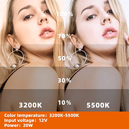 【20W 2-Pack】 RAUBAY LED Video Panel Light with Desk Mount Stand Kit , 3200K-5500K Bi-Colors Key Light with Stand C-Clamp for Live Stream, Video Conferencing, YouTube, TikTok, Make up