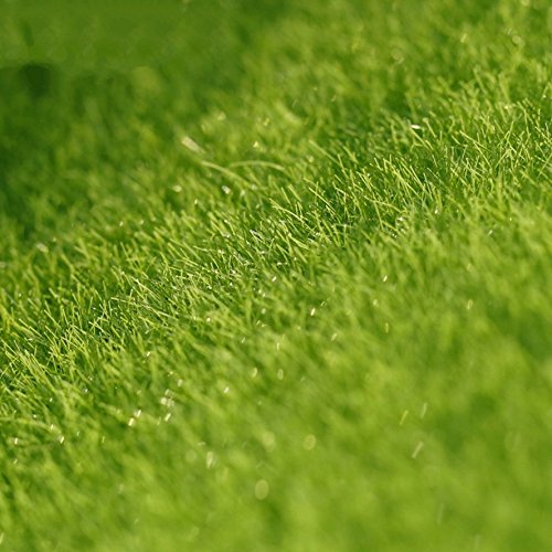 SUN-E 2 Pcs Life-Like Fairy Artificial Grass 12''x 12'' (30 X 30CM) Miniature Ornament Garden Dollhouse