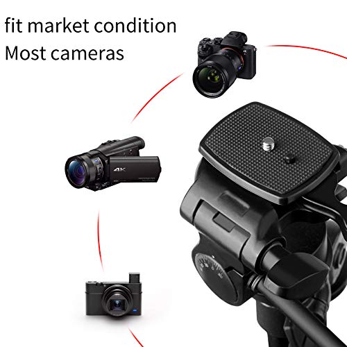 Erduoduo 2 Pack QR Plate(43x43mm) Quick Release Plate Replacement for Velbon tripods CX-460 CX-460mini CX-444 CX-888 CX-470 CX-570 CX-690 DF-50