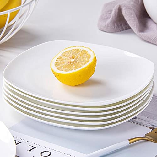 Dishes Plates Ceramic Dinner Plate Set 8 Inch 10 Inch Dishes Set for Salad Pasta Dessert Plates and Appetizer Microwave Oven Dishwasher Safe (Set of 4,6,10) Home dining plate ( Color : C , Size : 6.5I