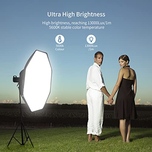 Neewer 150W 5600K LED Video Light, Bowens Mount Daylight Balanced LED Continuous Lighting CRI 97+,TLCI 97+ 13000Lux with 2.4G Remote for Video Recording,Wedding,Outdoor Shooting,YouTube (CB150)