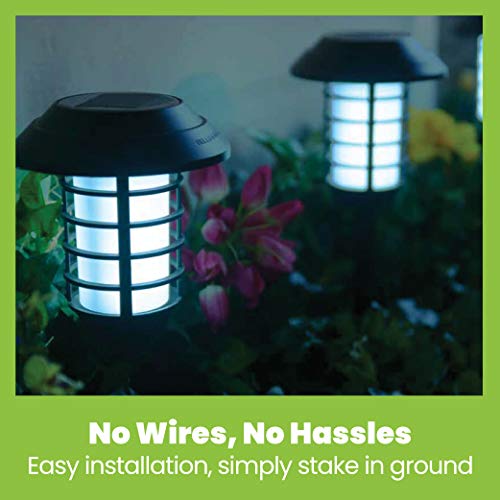Bell + Howell Smart Solar XL Pathway Lights 2-in-1, Bright White & Flickering Flame Solar Torches Waterproof Outdoor Lighting Landscape Lights Dusk to Dawn Auto On/Off for Garden Patio Yard, 8 PACK