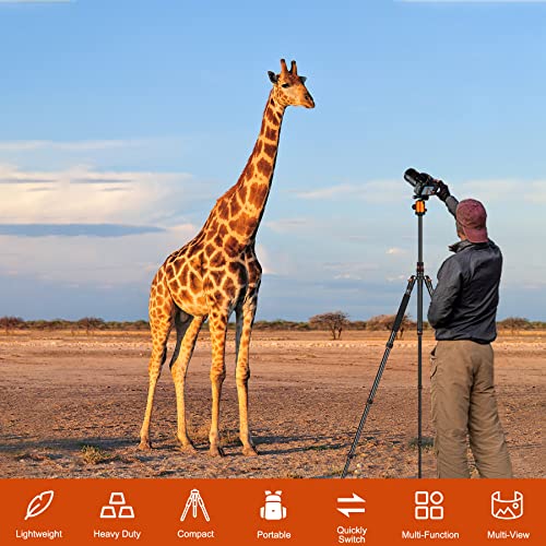 Camera Tripod, 80/84 inches Heavy Duty Tripod for Camera and Phone, 82" Camera Monopod Tripod, DSLR Binoculars Spotting Scope Camcorders Video Tripod Stand, 360 Degree Ball Head, 35 lbs Loads