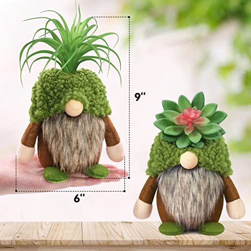 Succulent Gnomes Spring Green Plants Gnomes Swedish Plush Tiered Tray Decoration Tomte Doll Decor Cacti Nordic Dwarf Spring Summer Home Stuffed Gnomes Collection Garden Gift for Her Him Plant Lover