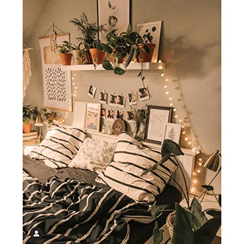 echosari Battery Operated String Lights, 16.5 Feet 50 LED Camping Globe Lights with Remote Timer 8 Modes Frosted Ball Fairy Light for Bedroom Wedding Xmas Tree Party Decoration (Warm White)