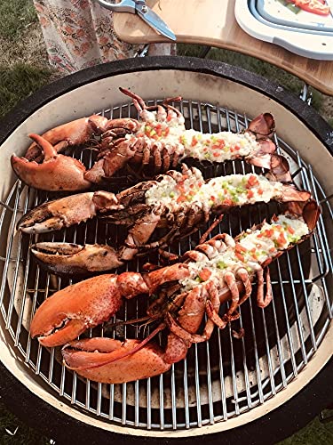 WHNB 13 Inch Ceramic Charcoal Grills Multifunctional Mini Garden Outdoor Grill Without Side Table for BBQ, Camping and Picnic