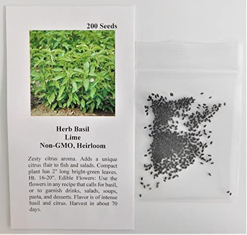 David's Garden Seeds Herb Basil Lime FBA-5987 (Green) 200 Non-GMO, Heirloom Seeds