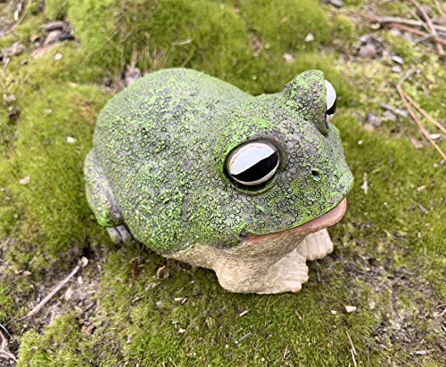 Top Brass Chunky Frog Key Hider Figurine - Cute Toad Garden Statue with Secret Compartment - Indoor / Outdoor