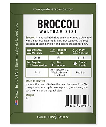 Broccoli Seeds for Planting is A Great Heirloom, Non-GMO Vegetable Variety- 1 Gram Seeds Great for Outdoor Spring, Winter, and Fall Gardening by Gardeners Basics
