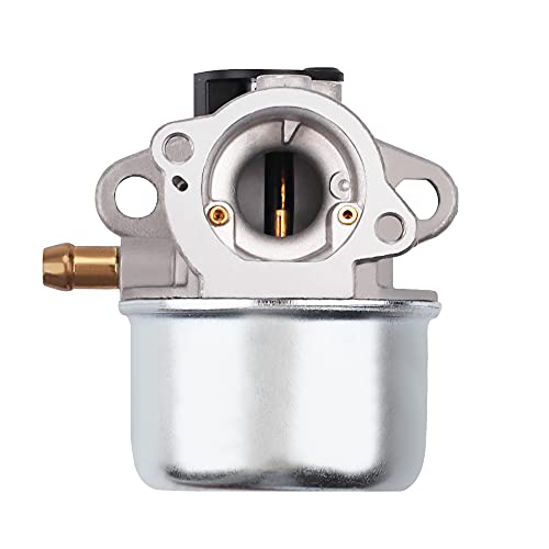 Panari 497314 799868 Carburetor for Briggs & Stratton 14111 498170 497314 497586 498254 498255 498966 Craftsman 625 6150 Engine with 491588s Filter