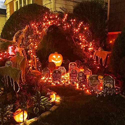Marchpower C6 Christmas Lights,2-Pack Waterproof Outdoor Indoor LED String Lights,70 LED 23FT Durable Fairy Light Plug in Connectable Strawberry Light for Garden Trees Roofs Holiday Decorate,Red
