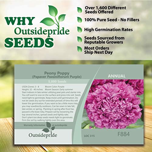 Outsidepride Papaver Peony Poppy Purple Garden Cut Flowers Great for Vases, Dried Arrangements - 5000 Seeds