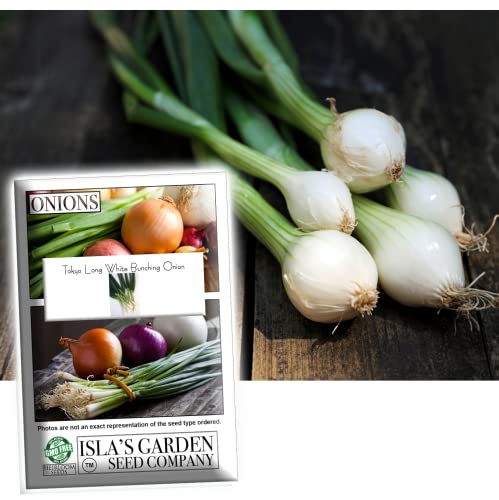 Tokyo Long White Bunching Onion Seeds for Planting, 300+ Heirloom Seeds Per Packet, (Isla's Garden Seeds), Non GMO Seeds, Botanical Name: Allium fistulosum, Garden Gift!