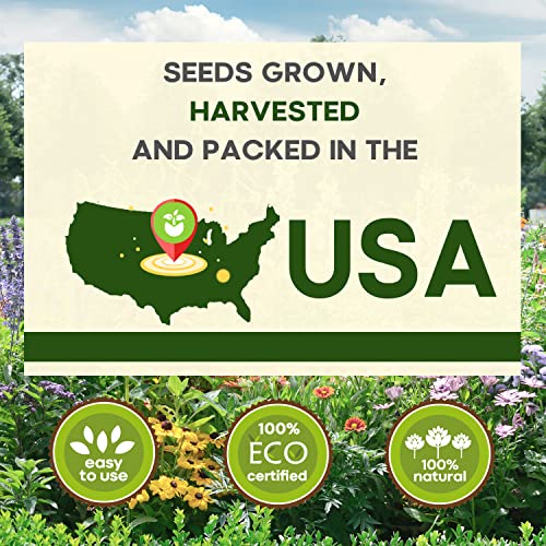 Heirloom Vegetable Seeds Variety 7 Pack — Includes Beet, Broccoli, Cabbage, Carrot, Celery, Cucumber and Kale — Vegetable Garden Starter Kit (7 Variety A)