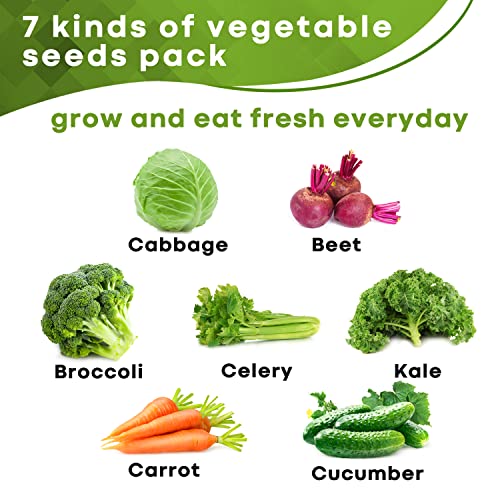 Heirloom Vegetable Seeds Variety 7 Pack — Includes Beet, Broccoli, Cabbage, Carrot, Celery, Cucumber and Kale — Vegetable Garden Starter Kit (7 Variety A)