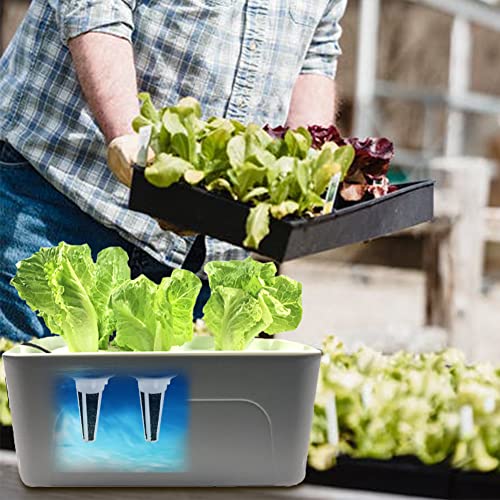 50 Sets Hydroponic Grow Basket, Plant Pod Kit Plant Growing Container with Transparent Insulation Domes, Replacement Grow Baskets, Hydroponic Garden Accessories(Size:4.4x1.3x6.5cm)