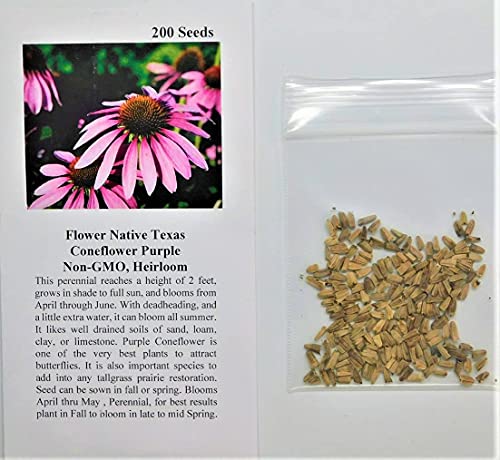 David's Garden Seeds Flower Native Texas Coneflower Purple 2424 (Purple) 200 Non-GMO, Heirloom Seeds