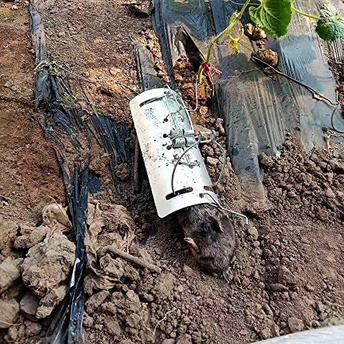 DSQSTMR Mole Traps That Work Gopher Squirrel Spring Best Rat Trap Outdoor Vole for Lawns Easy Reusable Smart Snare Trapping