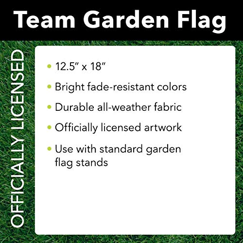 Minnesota Wild Garden Flag NHL Licensed 12.5" x 18" Briarwood Lane