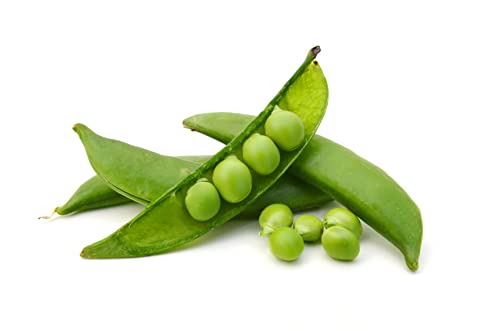 Sugar Snap Pea Seeds for Planting - Pisum Sativum - Heirloom Non-GMO Vegetable Seeds for Planting a Home Garden by RDR Seeds