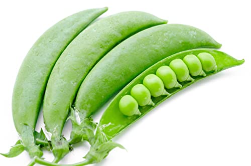Sugar Snap Pea Seeds for Planting - Pisum Sativum - Heirloom Non-GMO Vegetable Seeds for Planting a Home Garden by RDR Seeds