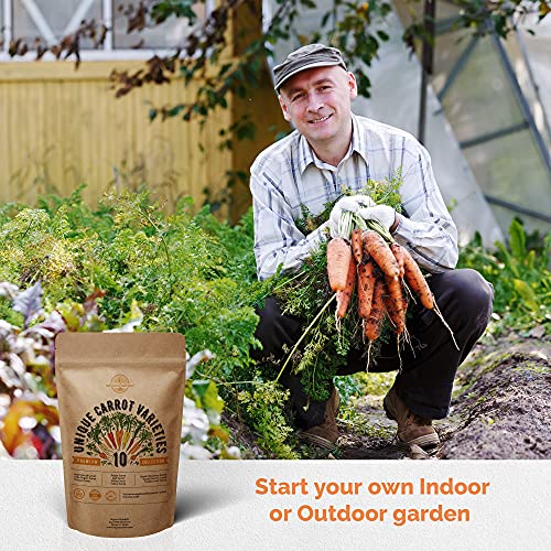 10 Carrot & 8 Onion Seeds Variety Packs Bundle Non-GMO Heirloom Seeds for Planting Indoor and Outdoor Over 5200 Carrot & Onion Seeds in One Value Bundle