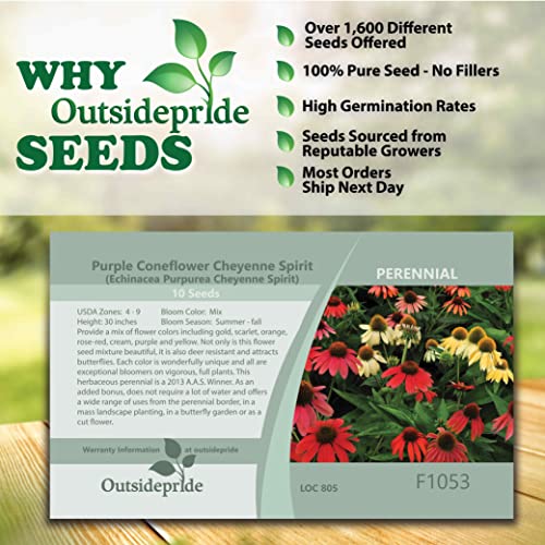 Outsidepride Echinacea Purpurea Purple Coneflower Cheyenne Spirit Garden Cut Flower Seed Mix - 20 Seeds