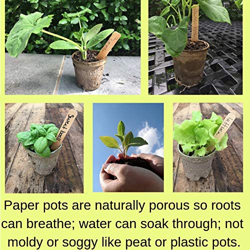 Clovers Garden Organic Recycled Paper Seed Starter Pots - 100% Biodegradable Peat-Free Pots for Seedlings - 60 (3.5" Round) Germination Pots with 24 Markers - Eco Friendly Ideal for Organic Gardening